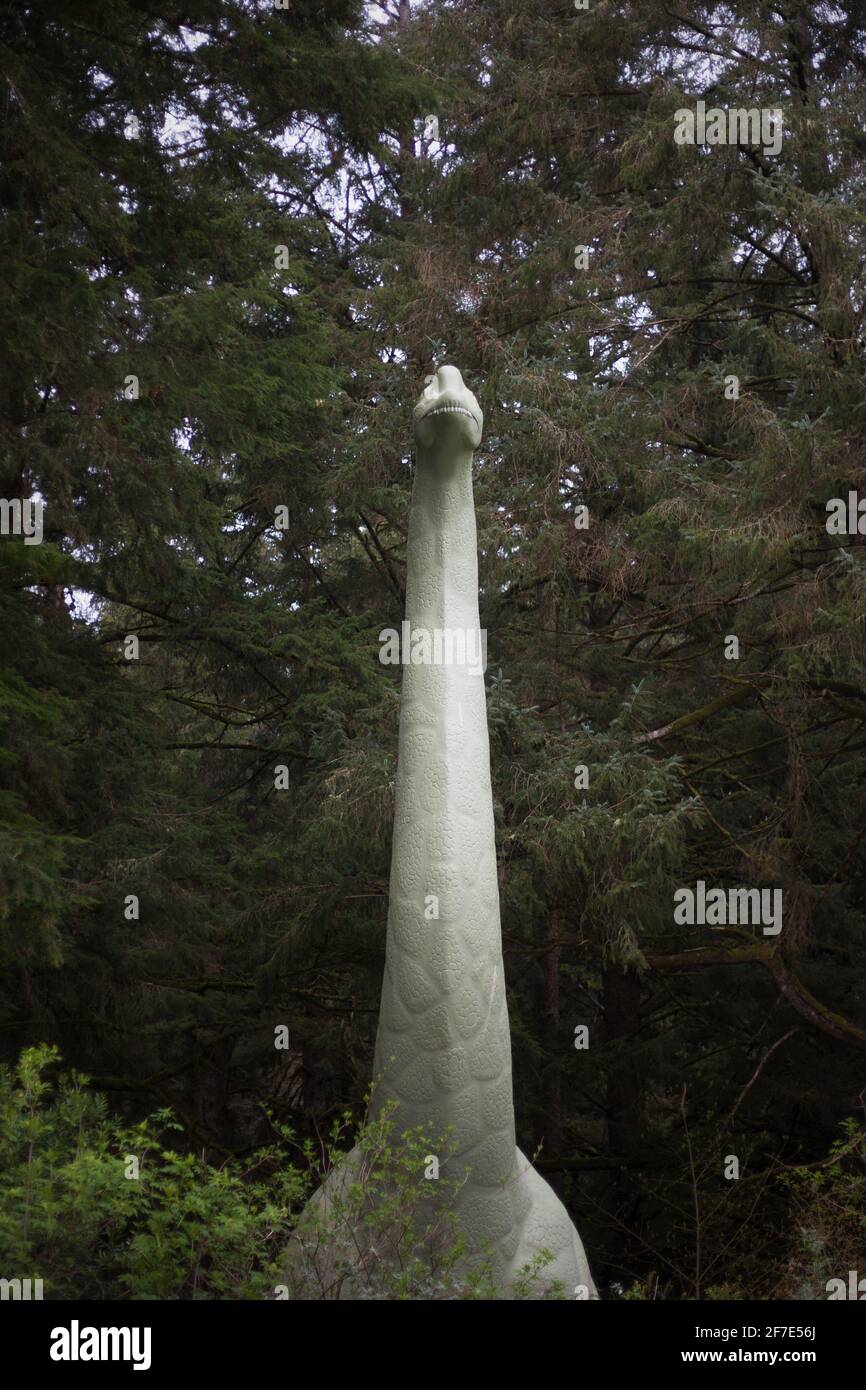 Brontosaurus statue at Prehistoric Gardens in Port Orford, Oregon Stock ...