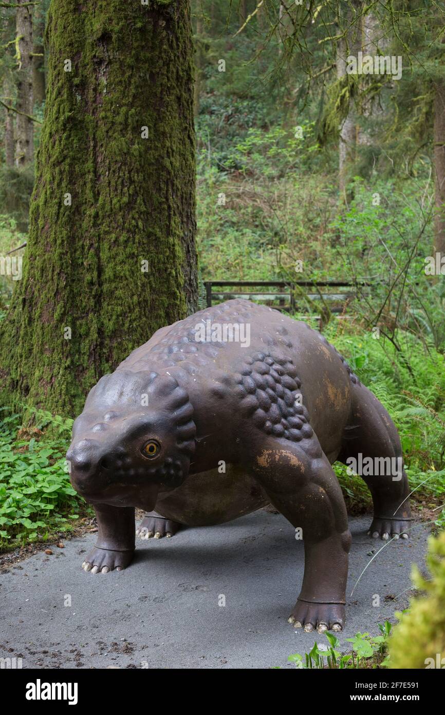 Prehistoric gardens oregon hi-res stock photography and images - Alamy