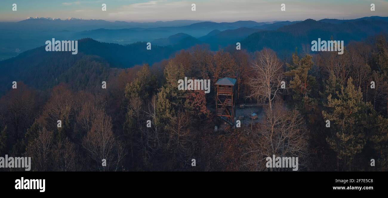 Hunters lookout, a tall wooden structure standing between the trees way ...