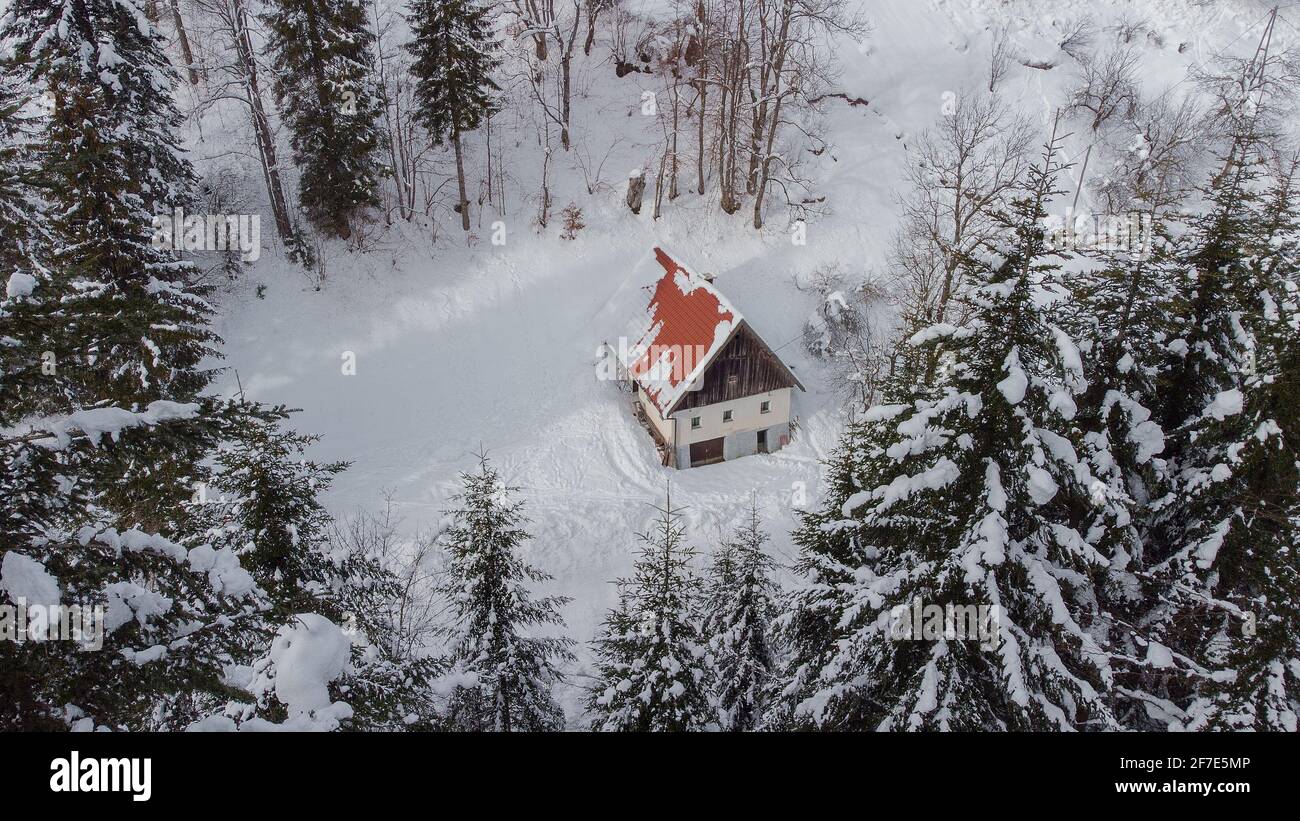 Lonely cottage or house in the middle of the snowy enchanted forest ...