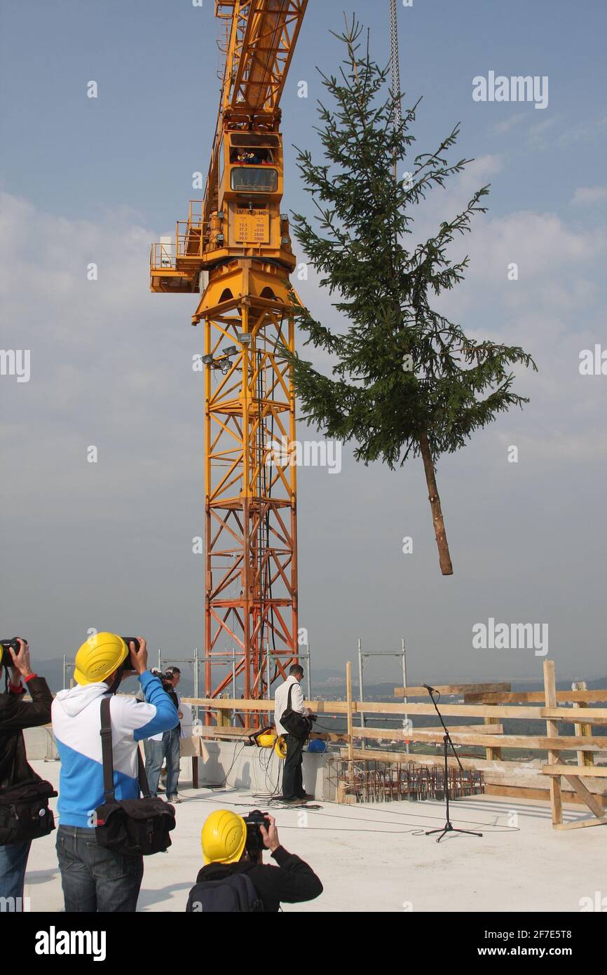 A construction crane is lifting a spruce tree on the top of the ...