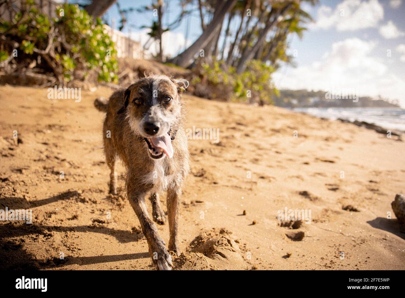 Beach on tongue hi-res stock photography and images - Alamy
