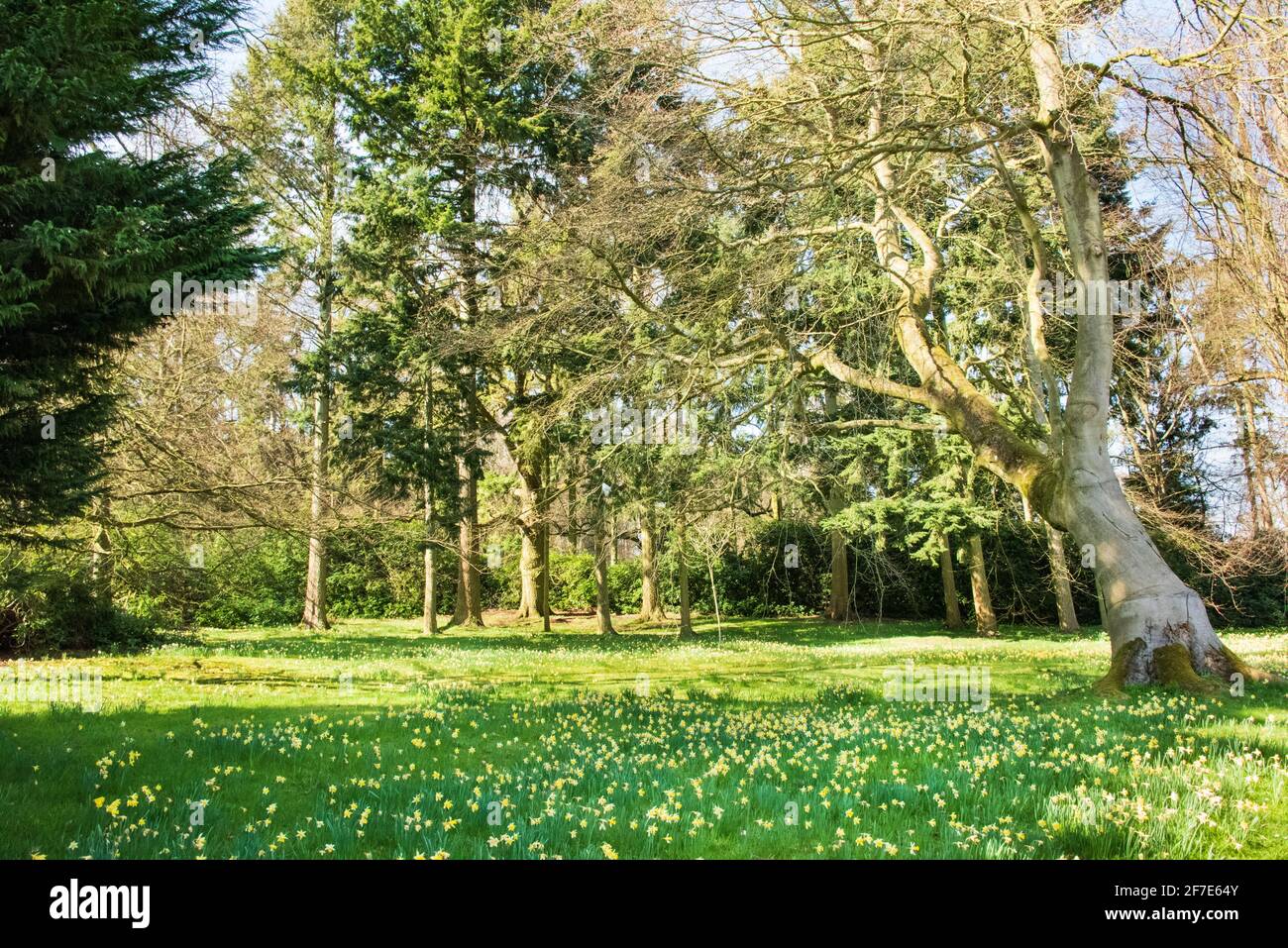 Hodnet hall gardens hi-res stock photography and images - Alamy