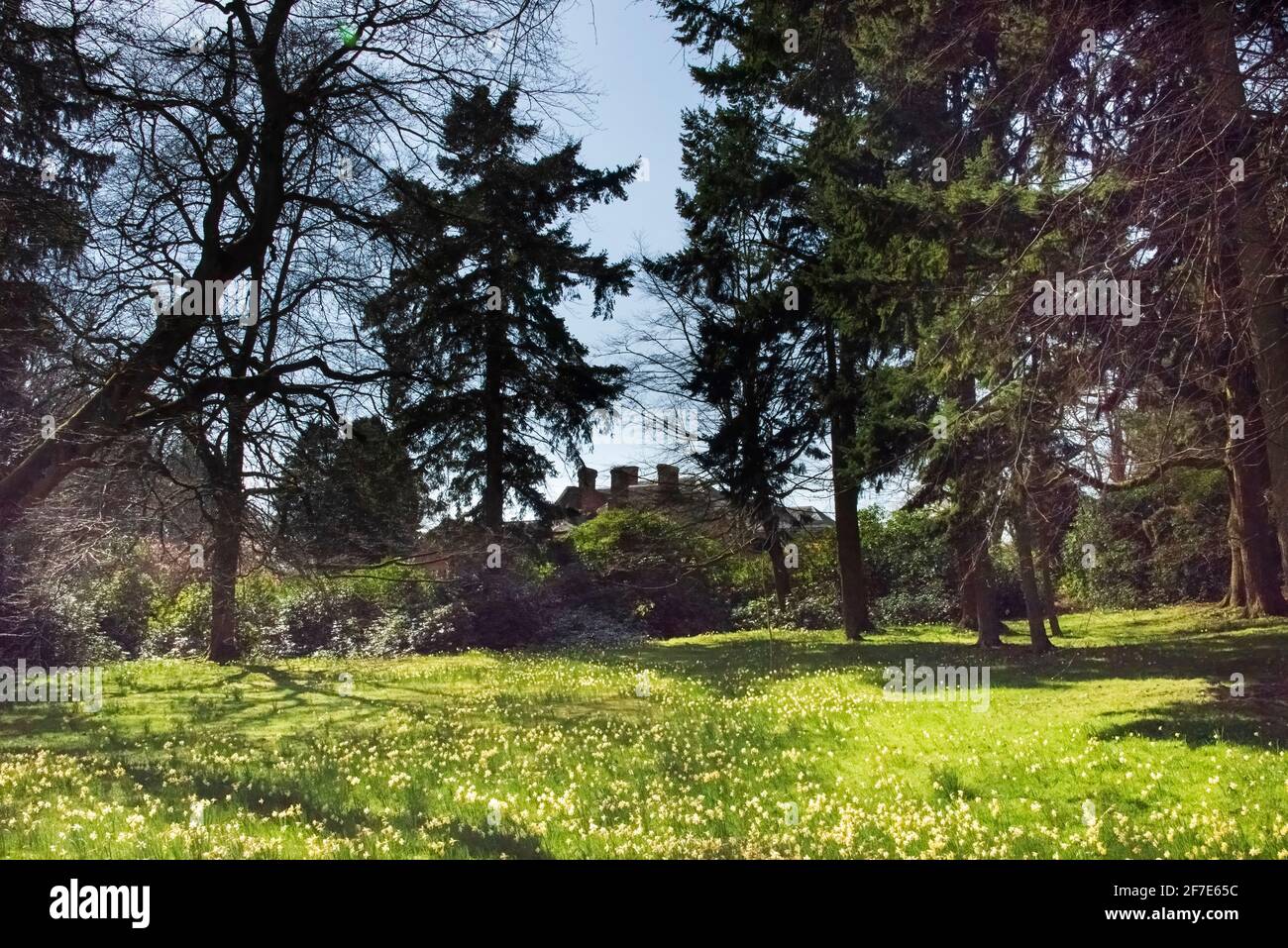 Hodnet Hall Gardens Stock Photo - Alamy