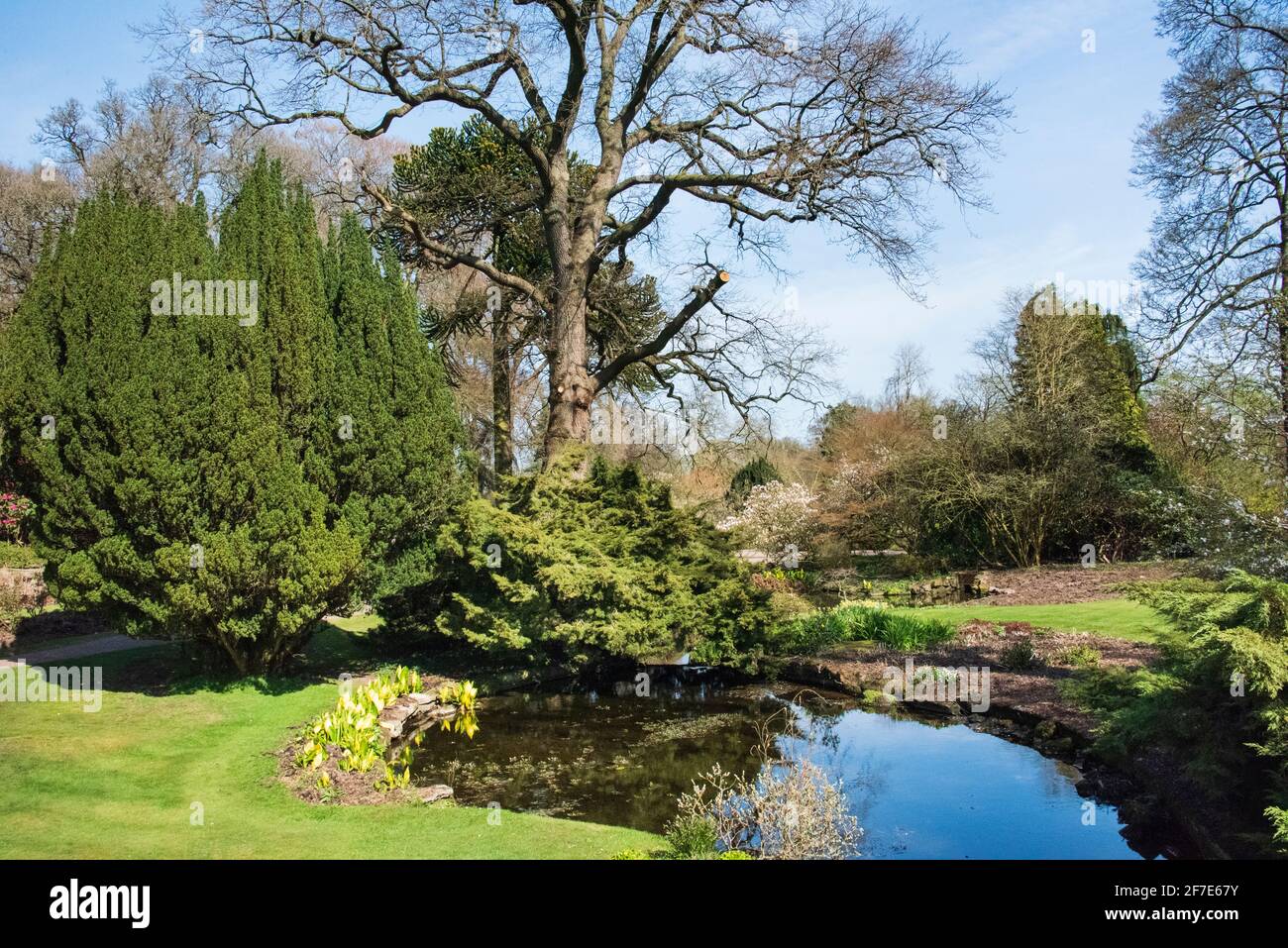 Hodnet Hall Gardens Stock Photo - Alamy