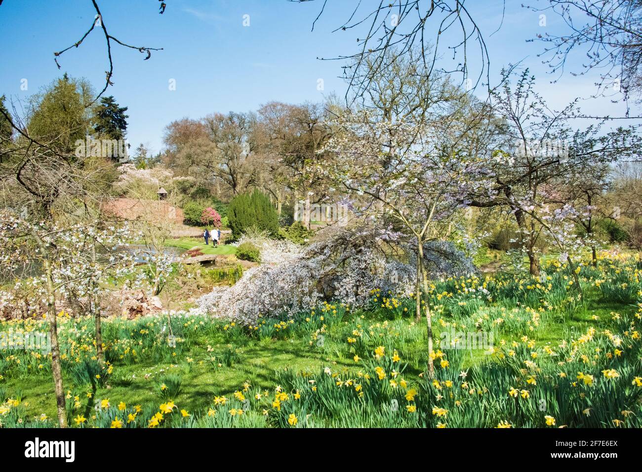 Hodnet Hall Gardens Stock Photo - Alamy