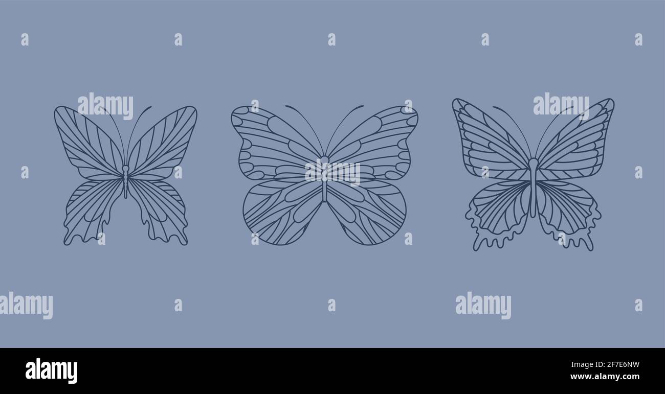 three cute butterflies Stock Vector Image & Art - Alamy