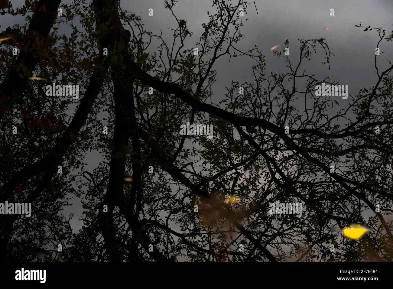 River stories hi-res stock photography and images - Alamy