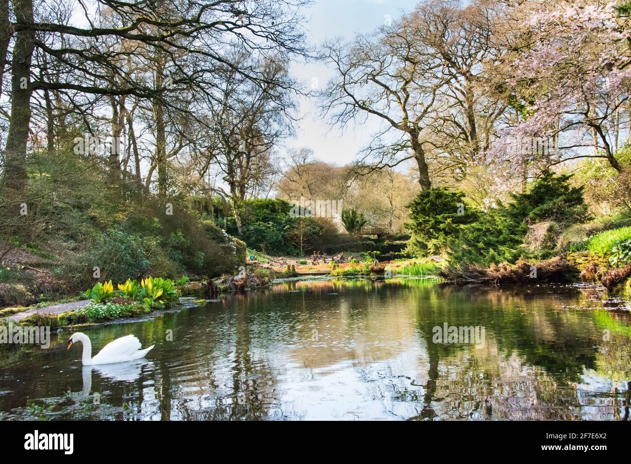Hodnet Hall Gardens Stock Photo - Alamy