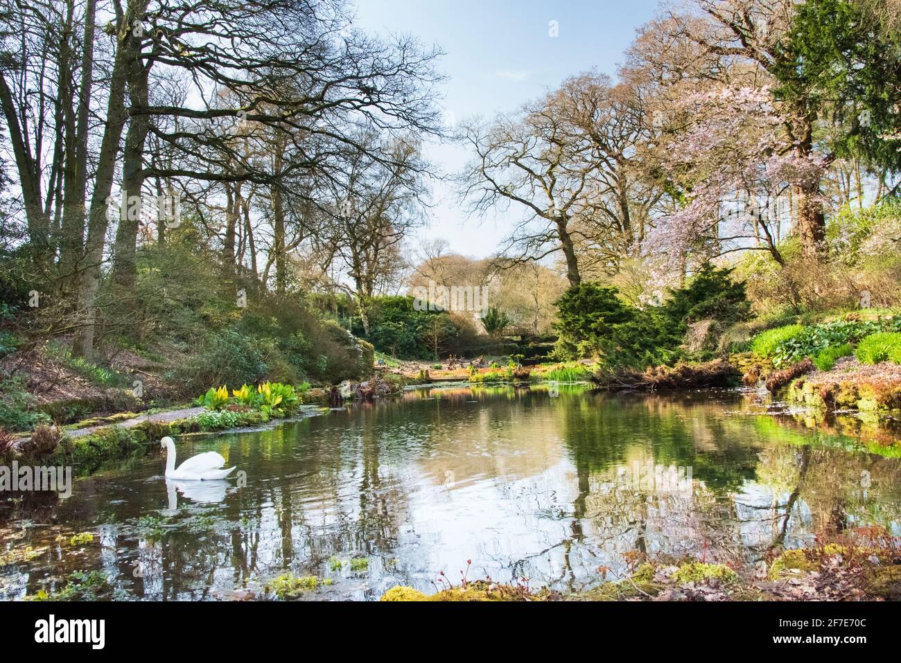 Hodnet Hall Gardens Stock Photo - Alamy