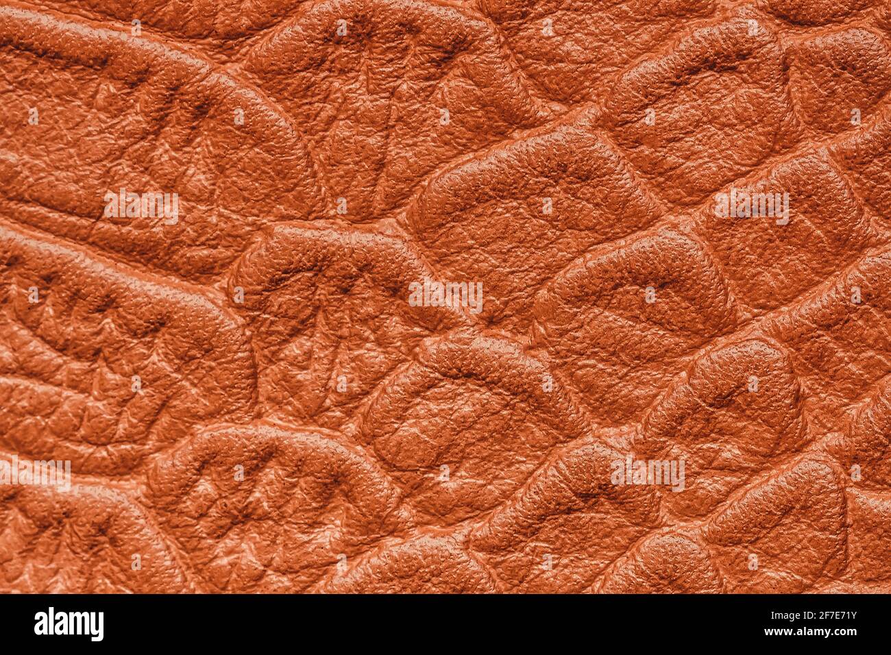 Texture of genuine leather close-up, embossed under skin of brown ...