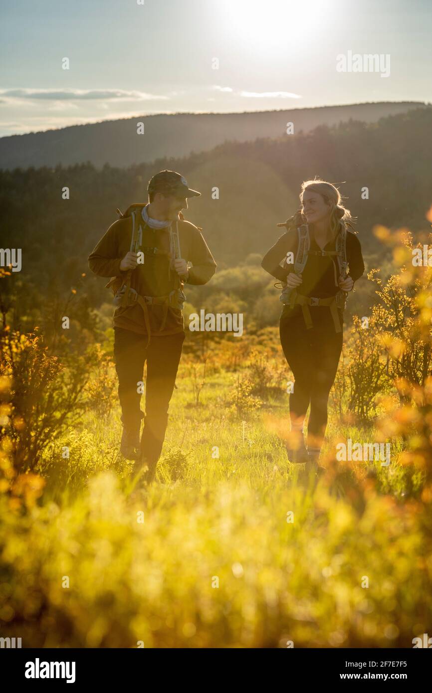 Mt rogers and virginia trail hi-res stock photography and images - Alamy