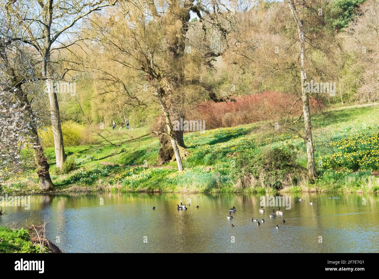 Hodnet Hall Gardens Stock Photo - Alamy