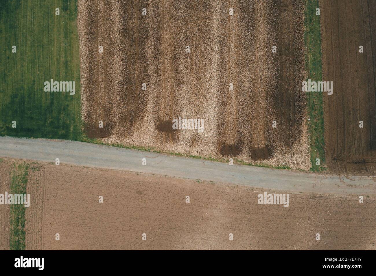 Vertical aerial photo of different fields covered with manure or ...