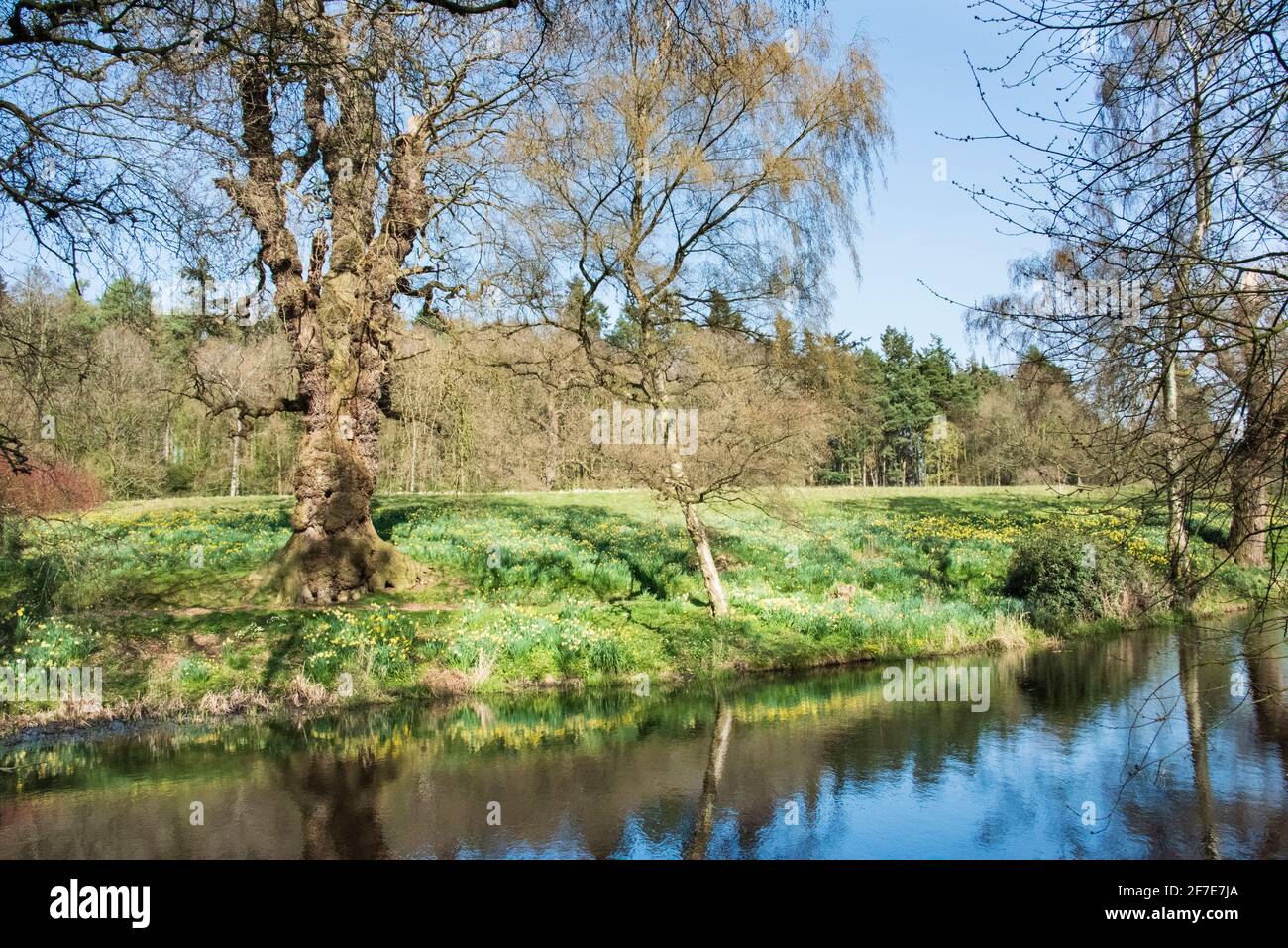 Hodnet Hall Gardens Stock Photo - Alamy