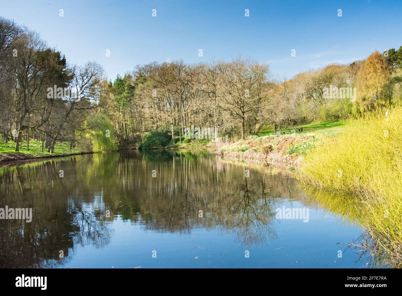 Hodnet Hall Gardens Stock Photo - Alamy