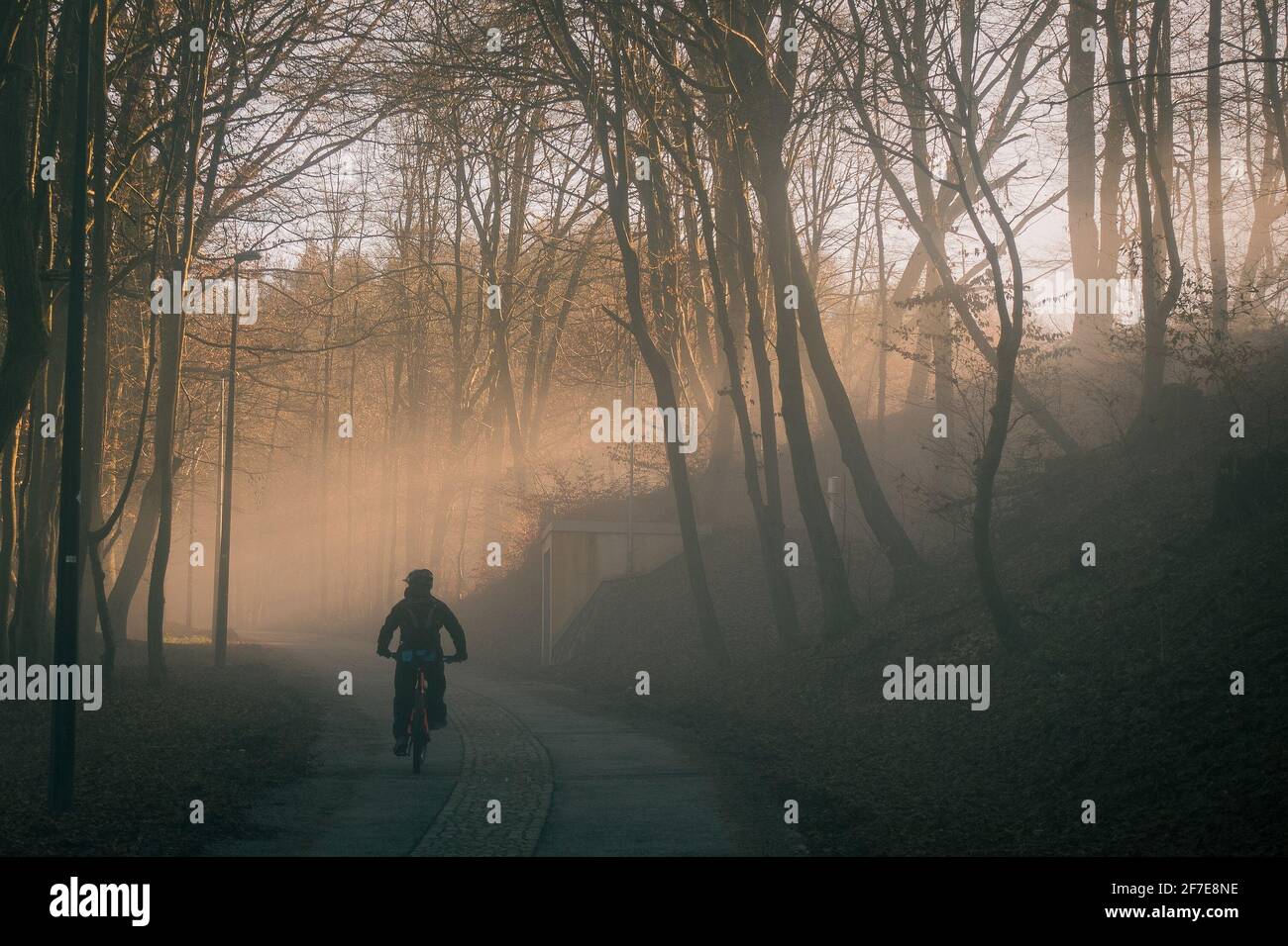 Single mountain biker riding in epical moment with sun rays shining ...