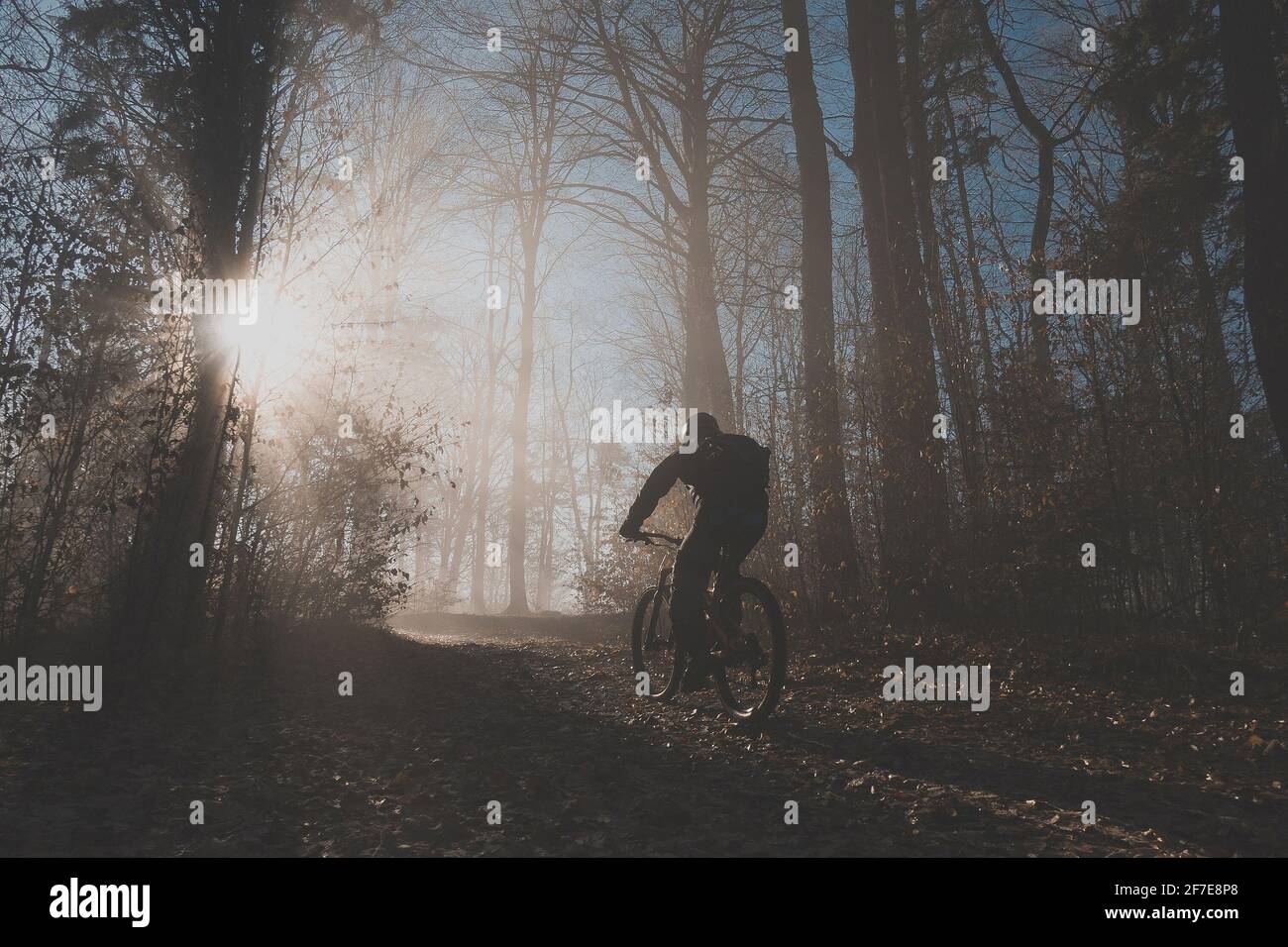 Single mountain biker riding in epical moment with sun rays shining ...