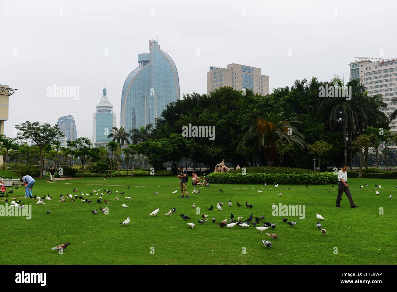 Bai lu hi-res stock photography and images - Alamy