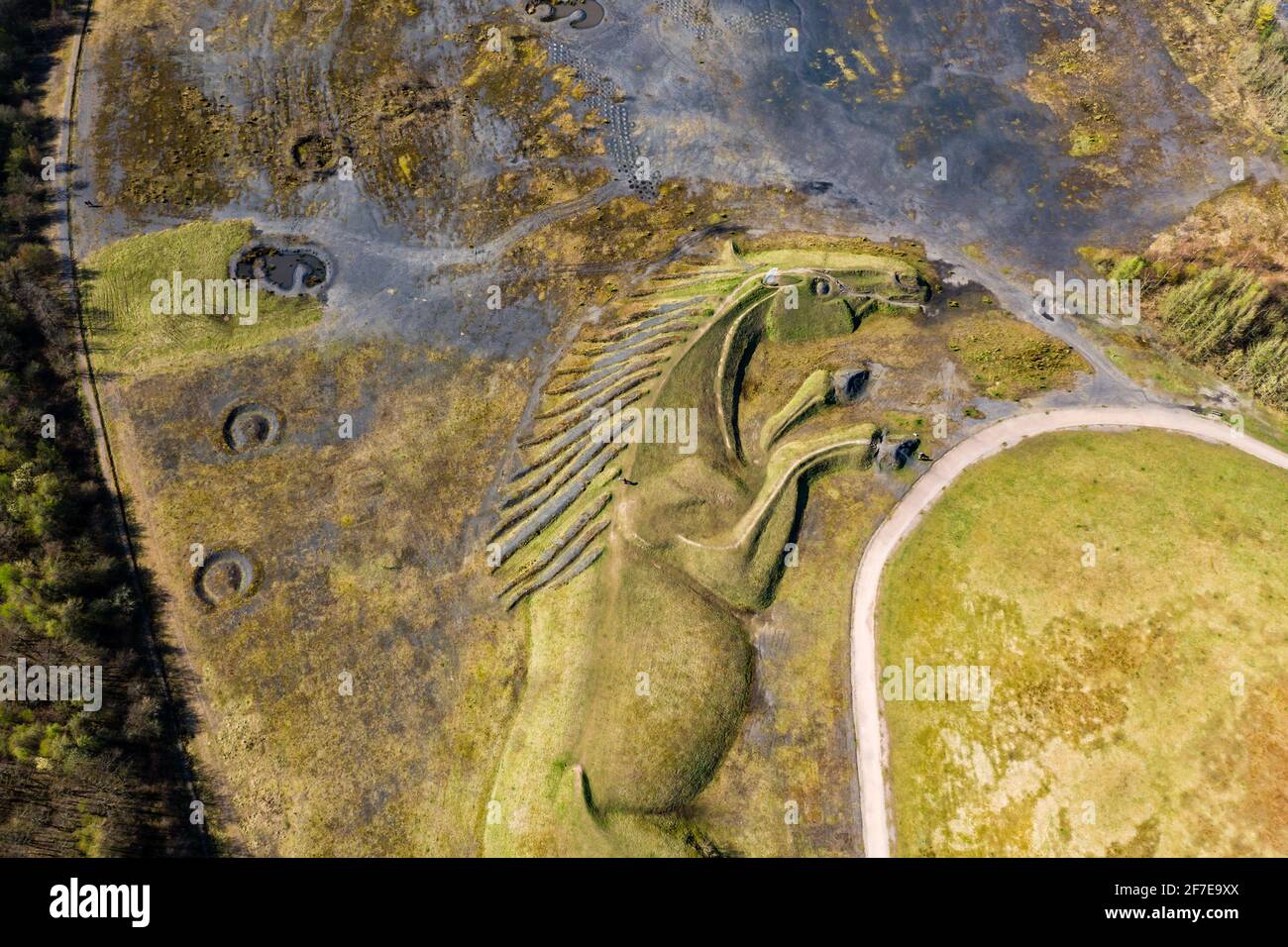 Sultan The Pit Pony High Resolution Stock Photography and Images - Alamy