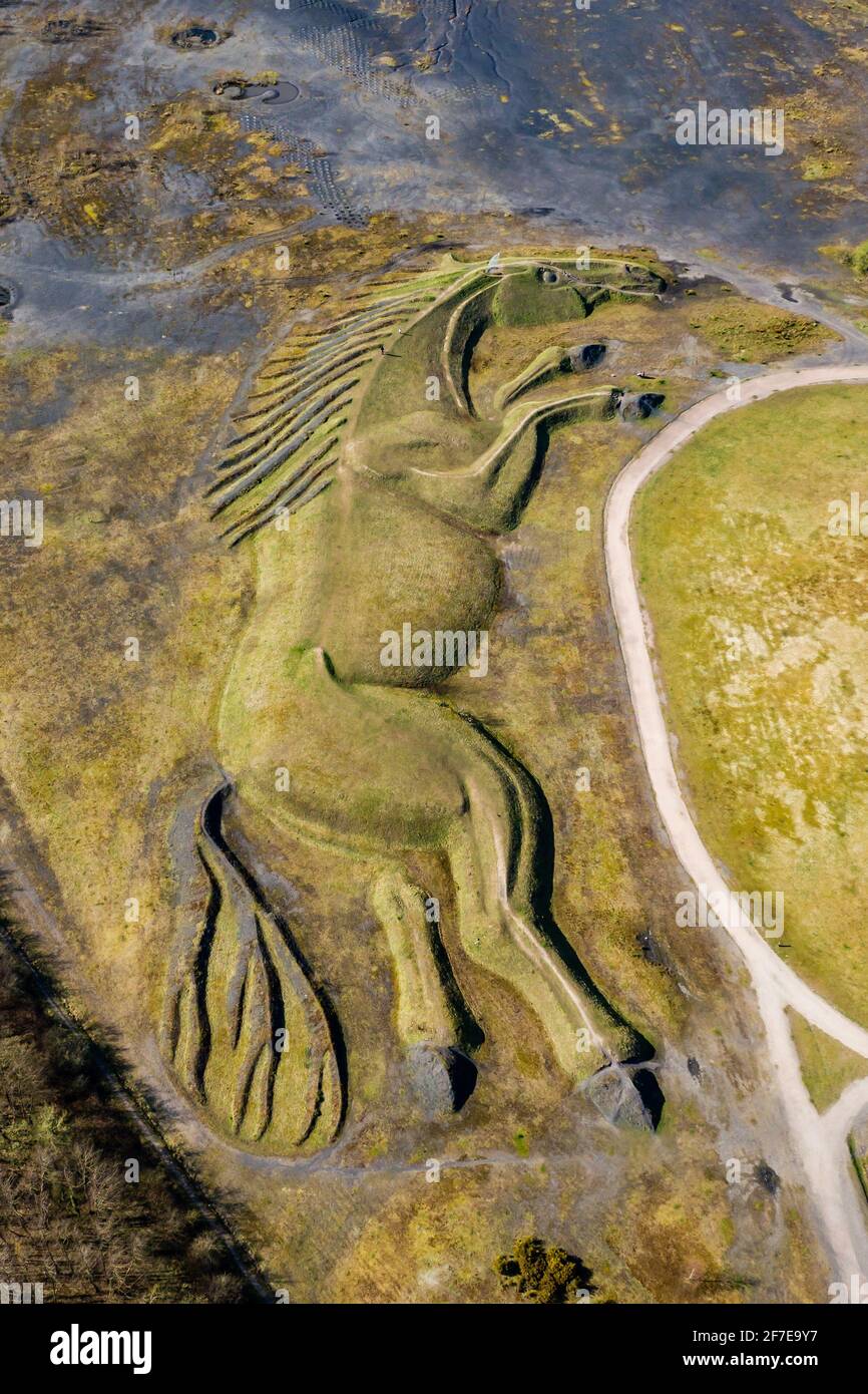 Sultan the pit pony hi-res stock photography and images - Alamy