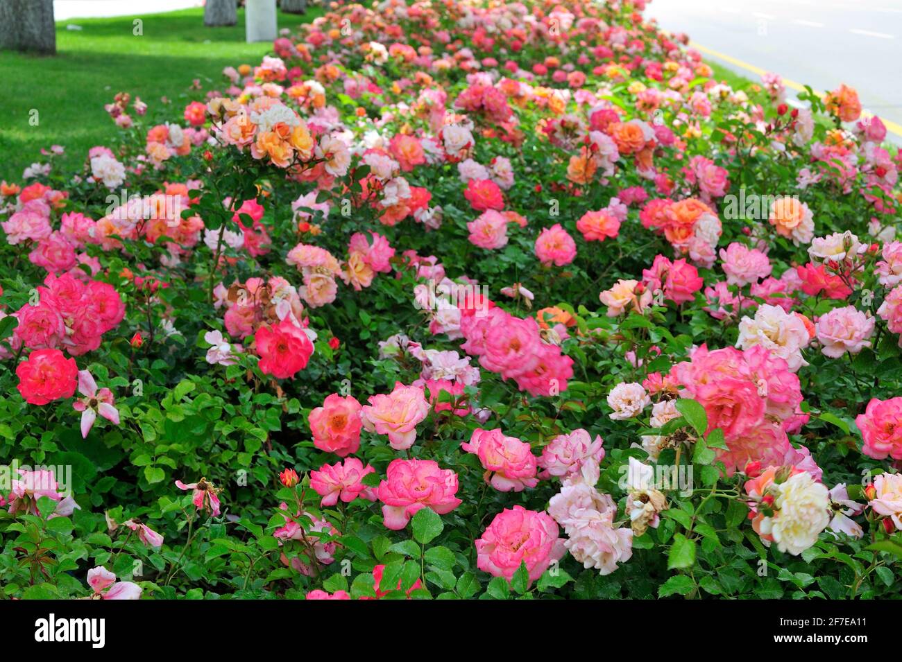 Outside Natur/Wild and Landscape Photoshooting / In der Natur ...