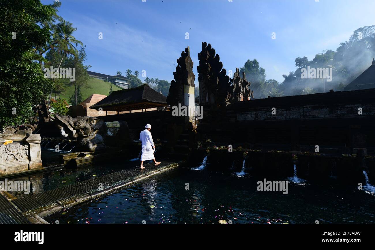 Balinese Hindu priest praying at the purifying pool in the Tirta Empul ...