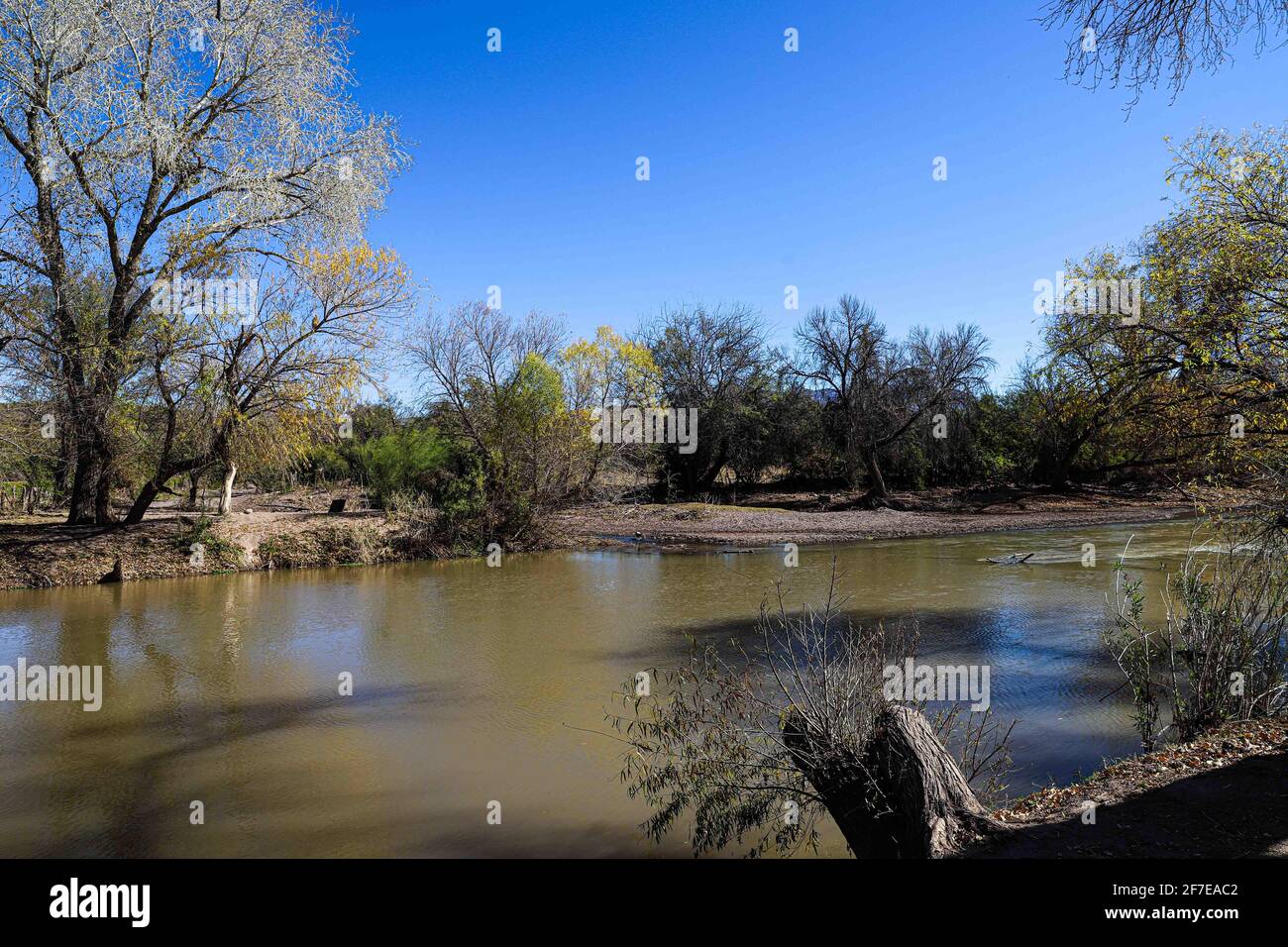 Trees by the river bank in Villa Hidalgo Mop. Villa Hidalgo, Sonora ...