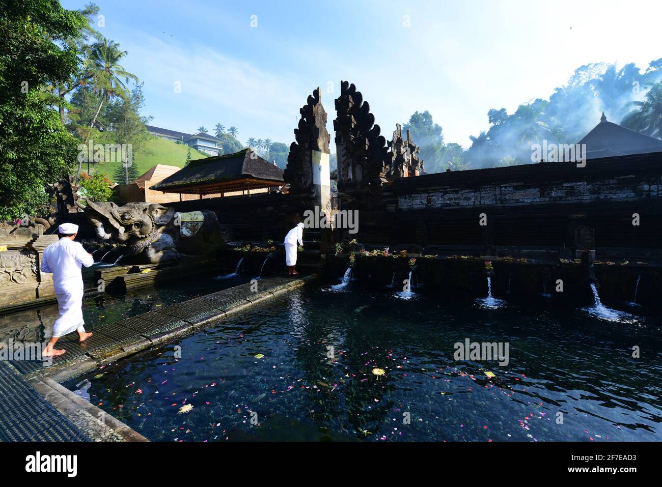 Balinese Hindu priest praying at the purifying pool in the Tirta Empul ...