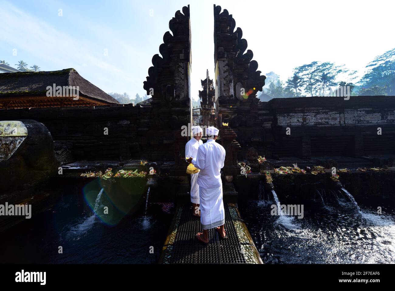 Balinese Hindu priest praying at the purifying pool in the Tirta Empul ...