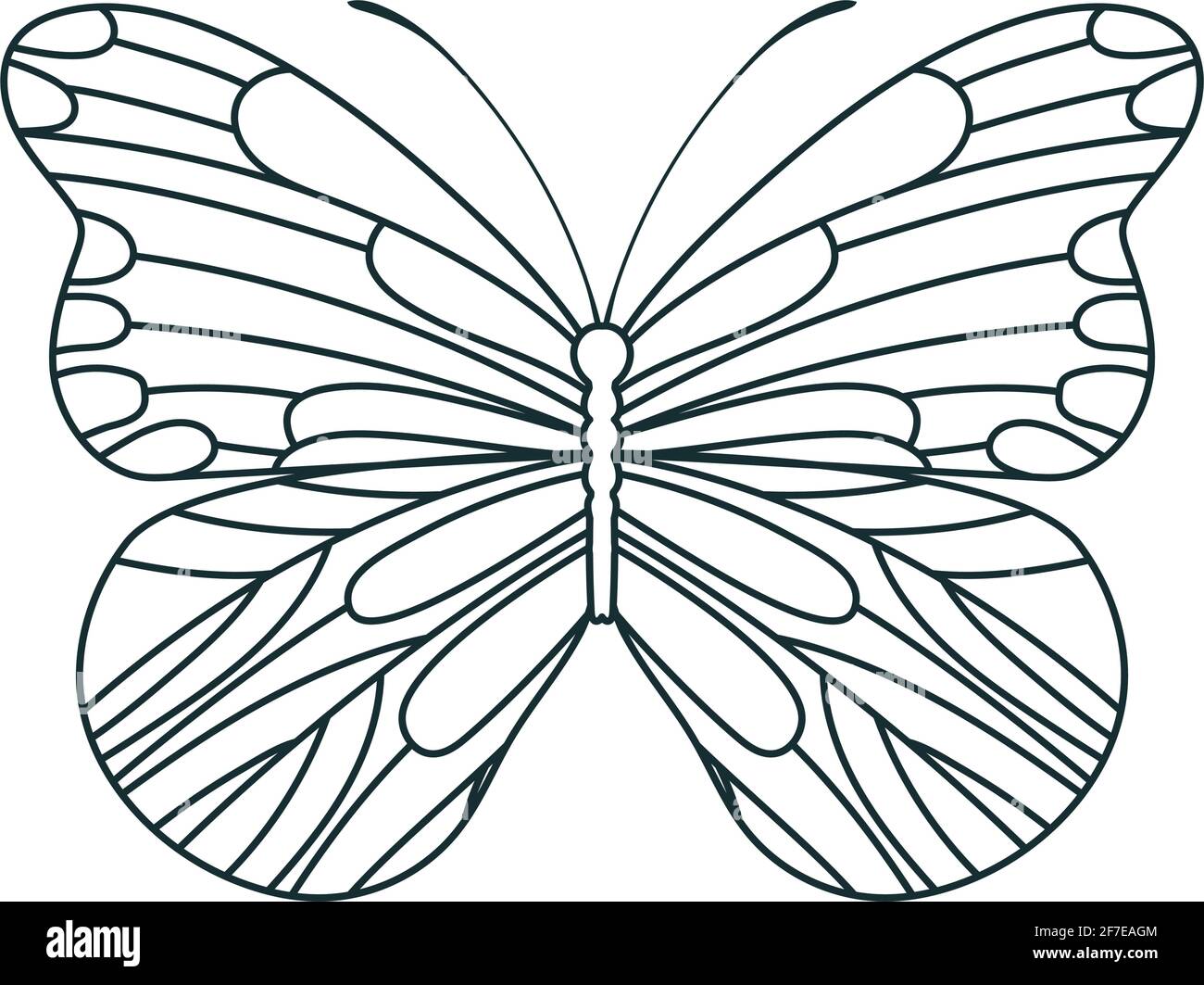 beautiful butterfly illustration Stock Vector Image & Art - Alamy