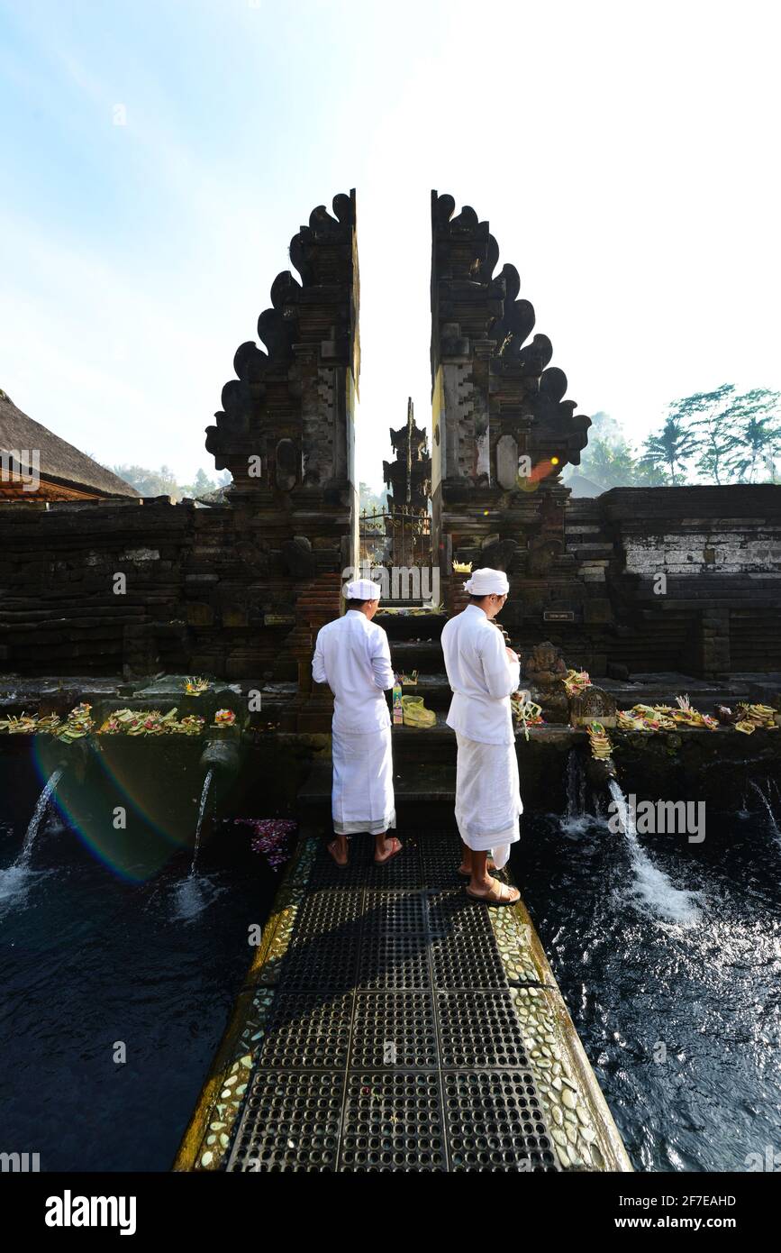 Balinese Hindu priest praying at the purifying pool in the Tirta Empul ...