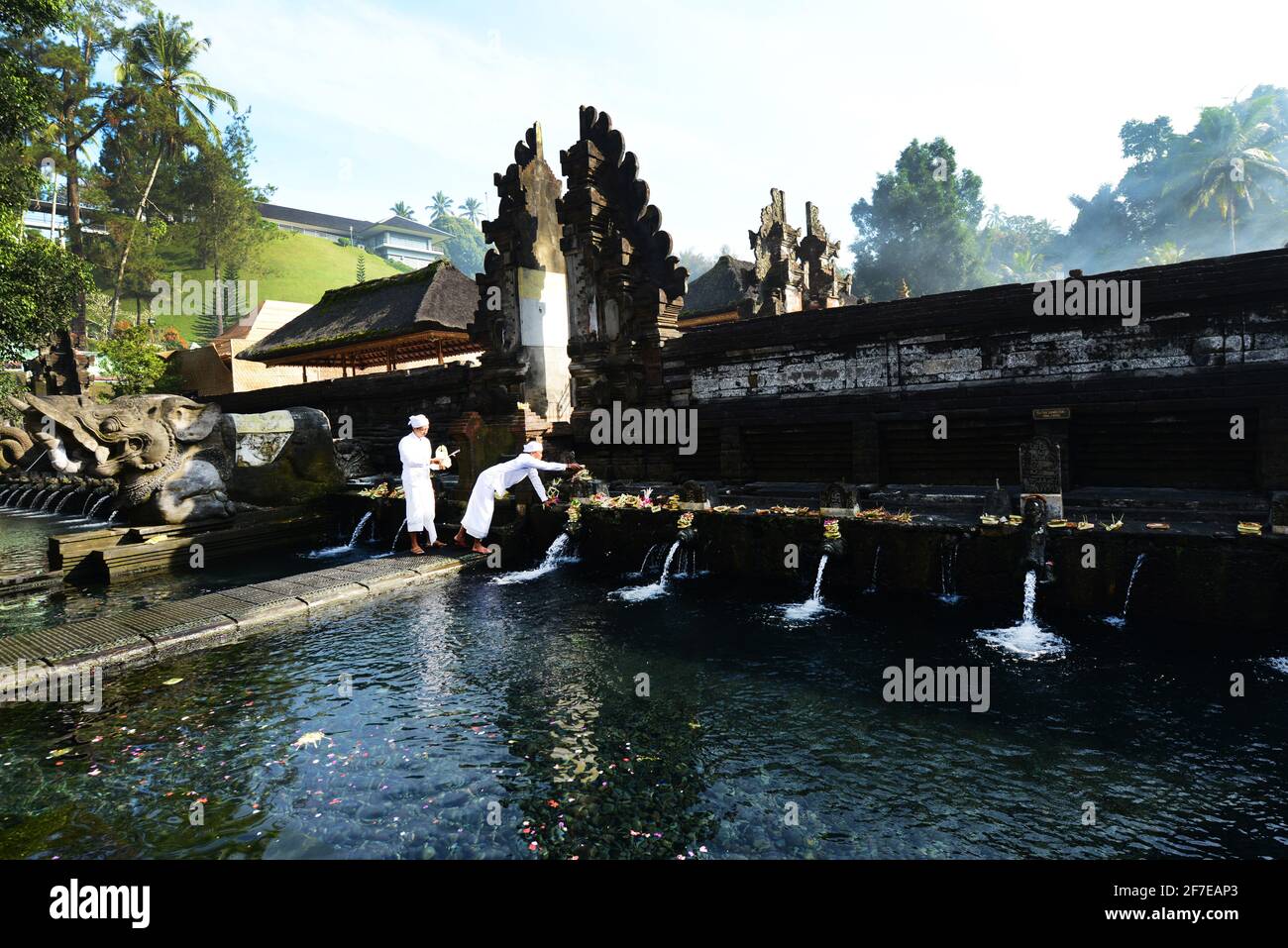Balinese Hindu priest praying at the purifying pool in the Tirta Empul ...