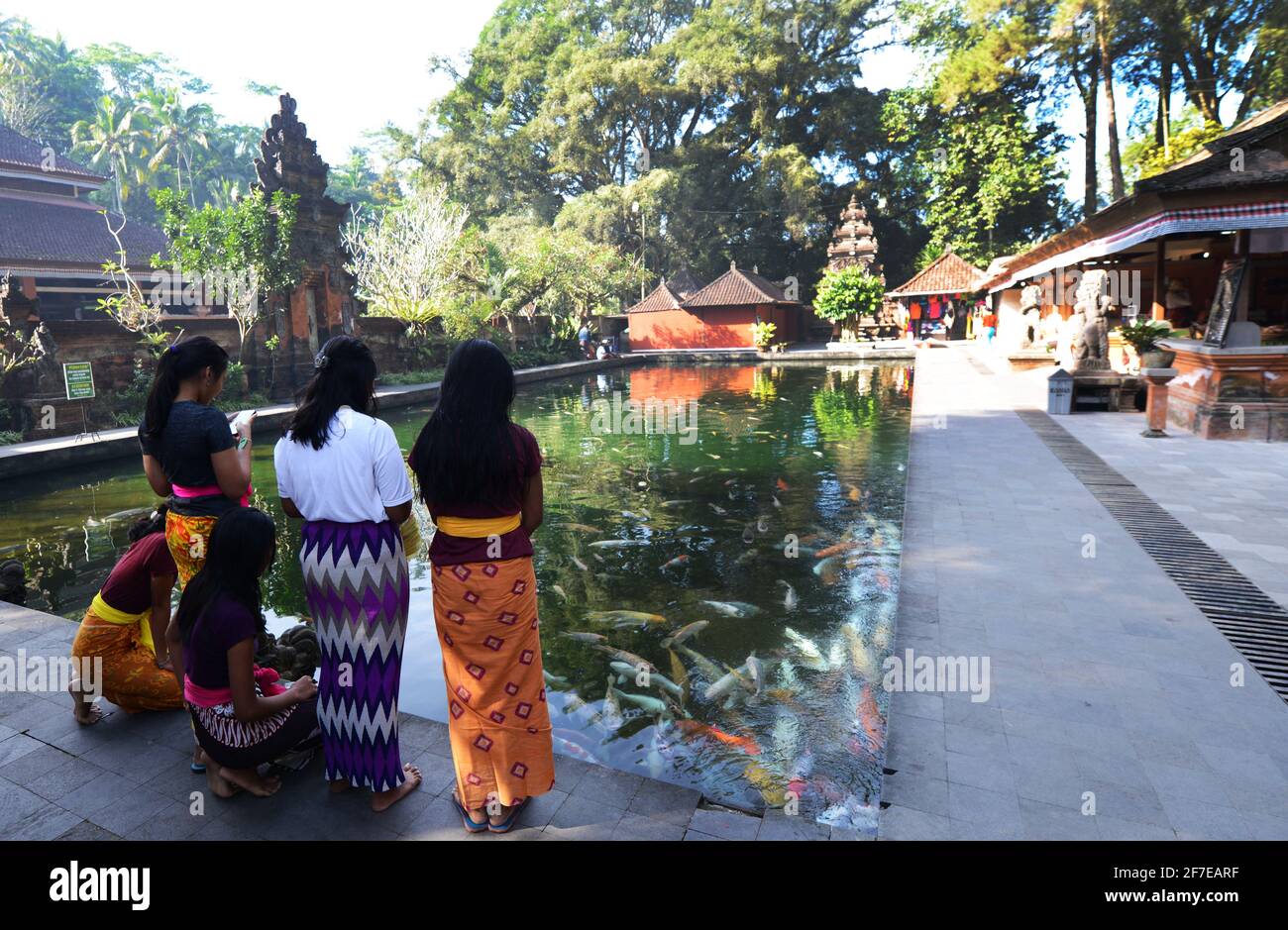 Koi fish in the pond in the Tirta Empul temple in Bali, Indonesia Stock ...