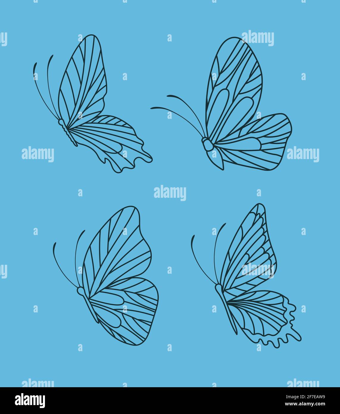 four beautiful butterflies Stock Vector Image & Art - Alamy