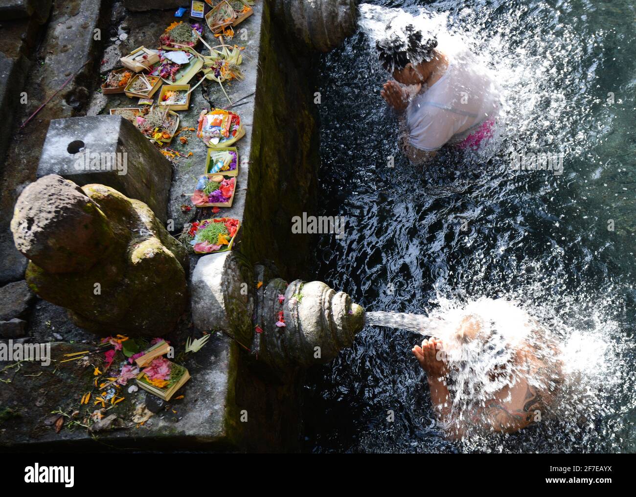 Balinese people purifying themselves at the purifying bath at the Tirta ...
