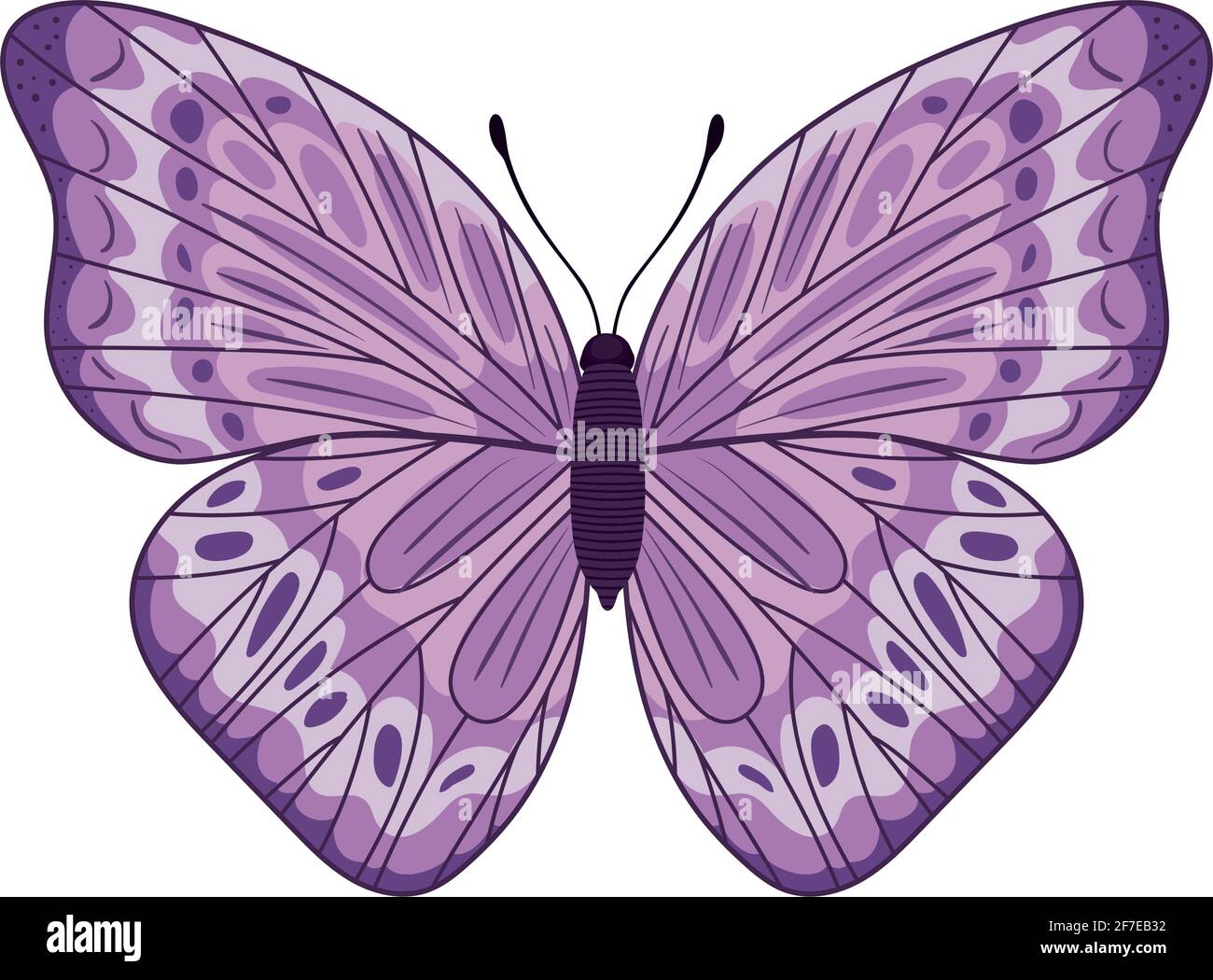cute butterfly design Stock Vector Image & Art - Alamy