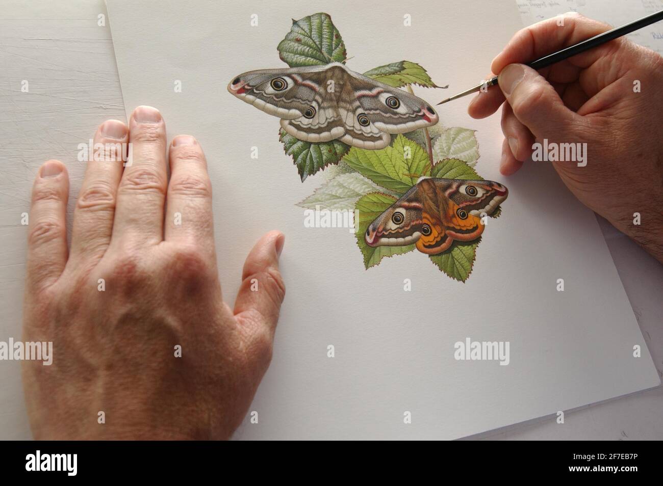 Richard lewington hi-res stock photography and images - Alamy