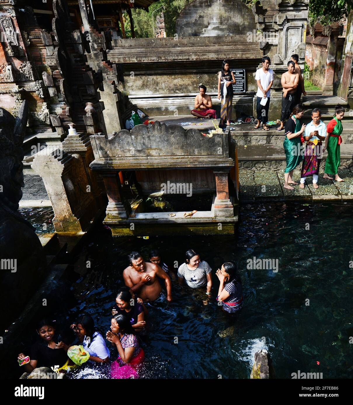 Morning prayers at the purifying pool at the Tirta Empul temple in Bali ...