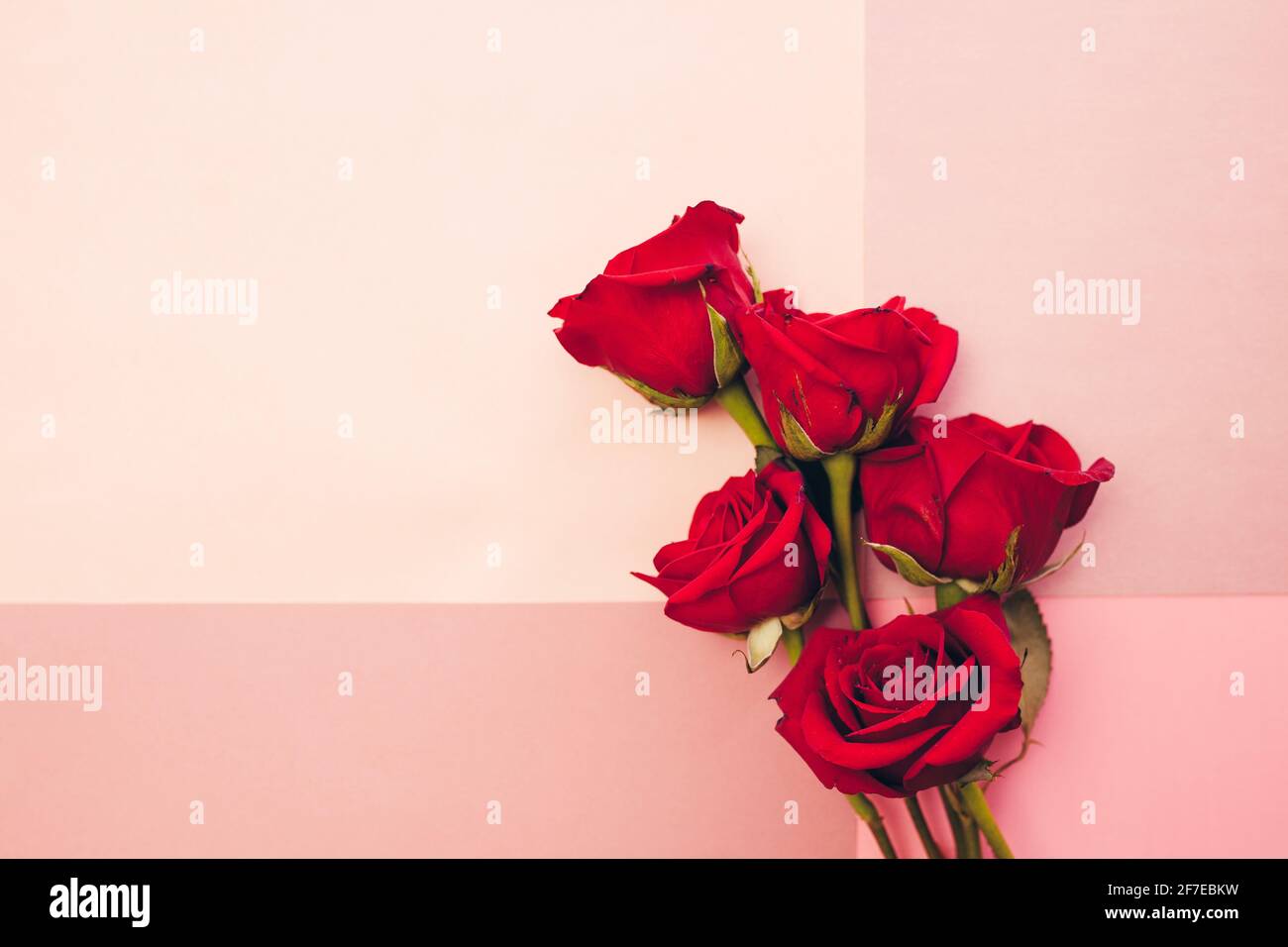 Pink roses background. Red roses on pink background. February backdrop ...