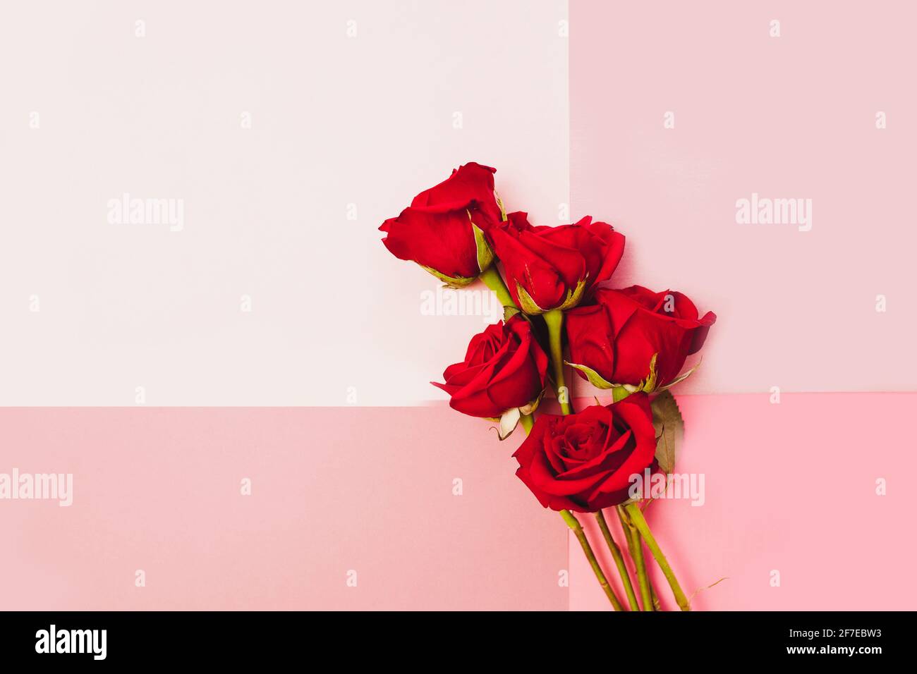 Pink roses background. Red roses on pink background. February backdrop ...