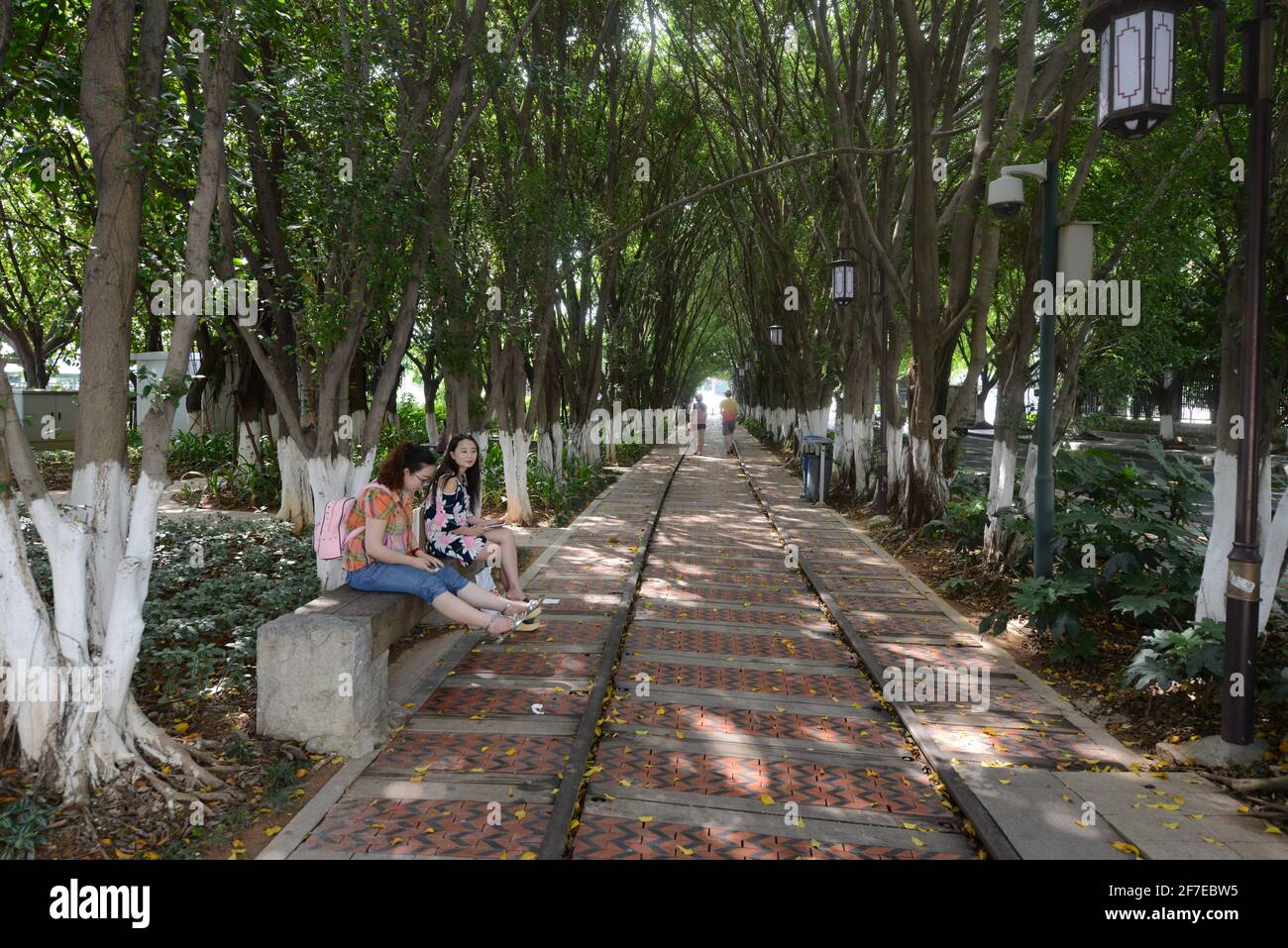 The Greenway walking trail park in Xiamen, China Stock Photo - Alamy