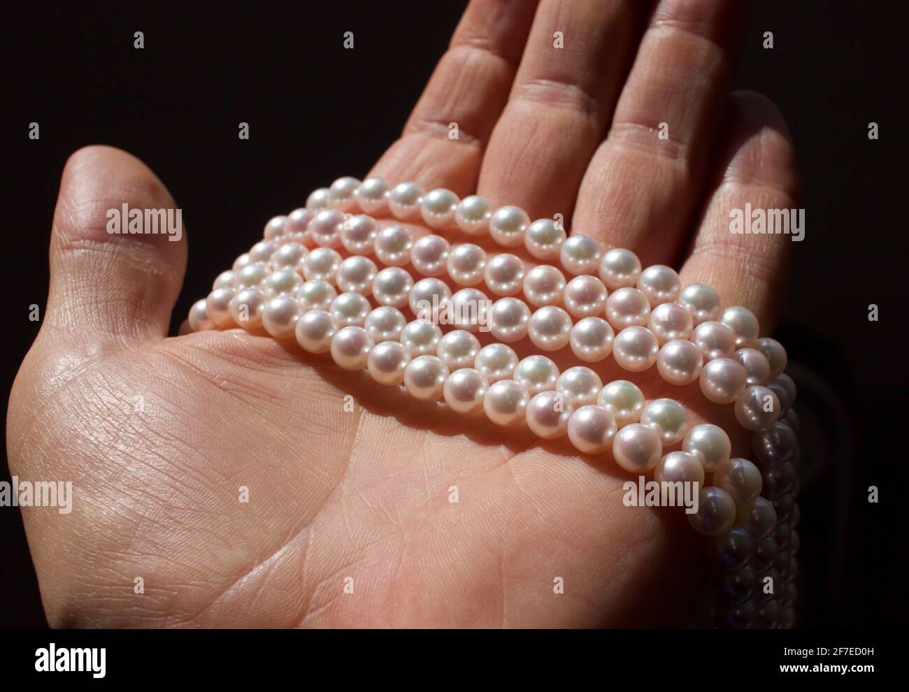 Akoya hi-res stock photography and images - Alamy