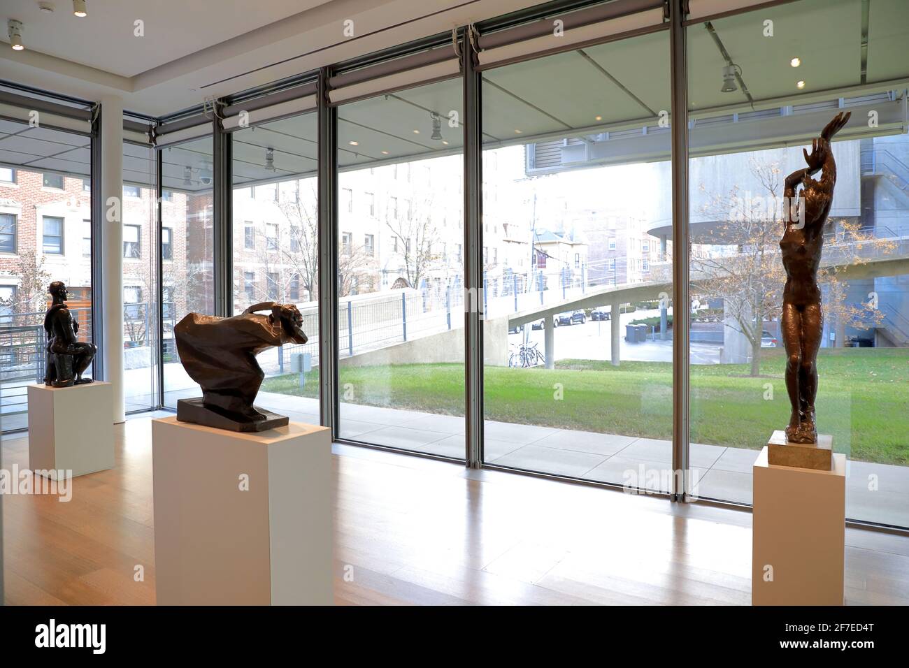 Interior view of Busch-Reisinger Museum in Harvard Art Museum.Harvard ...