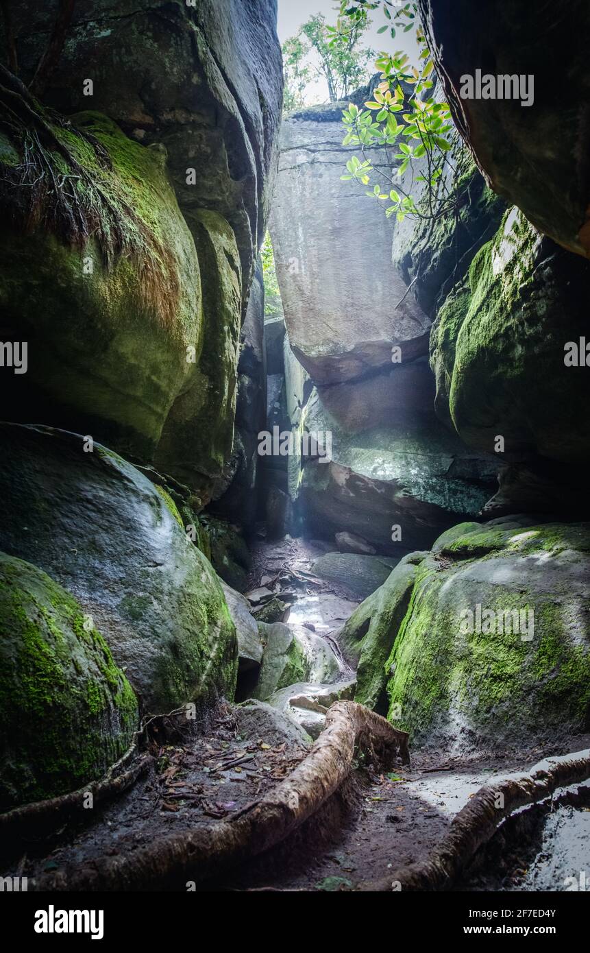 Sunlight illuminating the mossy cliffs of the Virginia Channels Stock ...