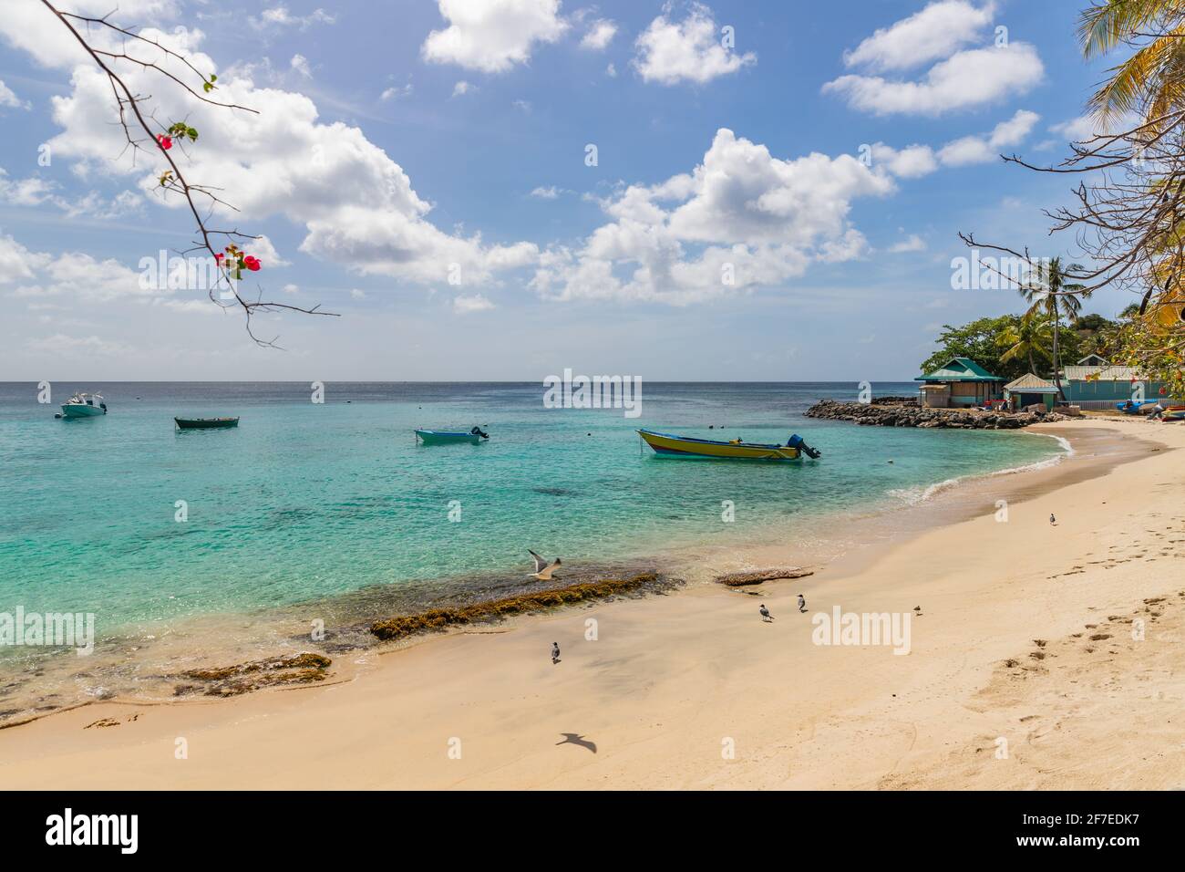 Saint Vincent and the Grenadines, Britannia bay, Mustique Stock Photo ...
