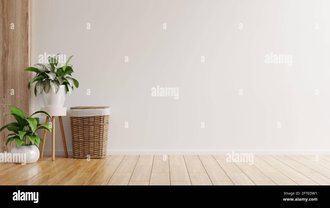 White wall empty room with plants on a floor,3D rendering Stock Photo ...