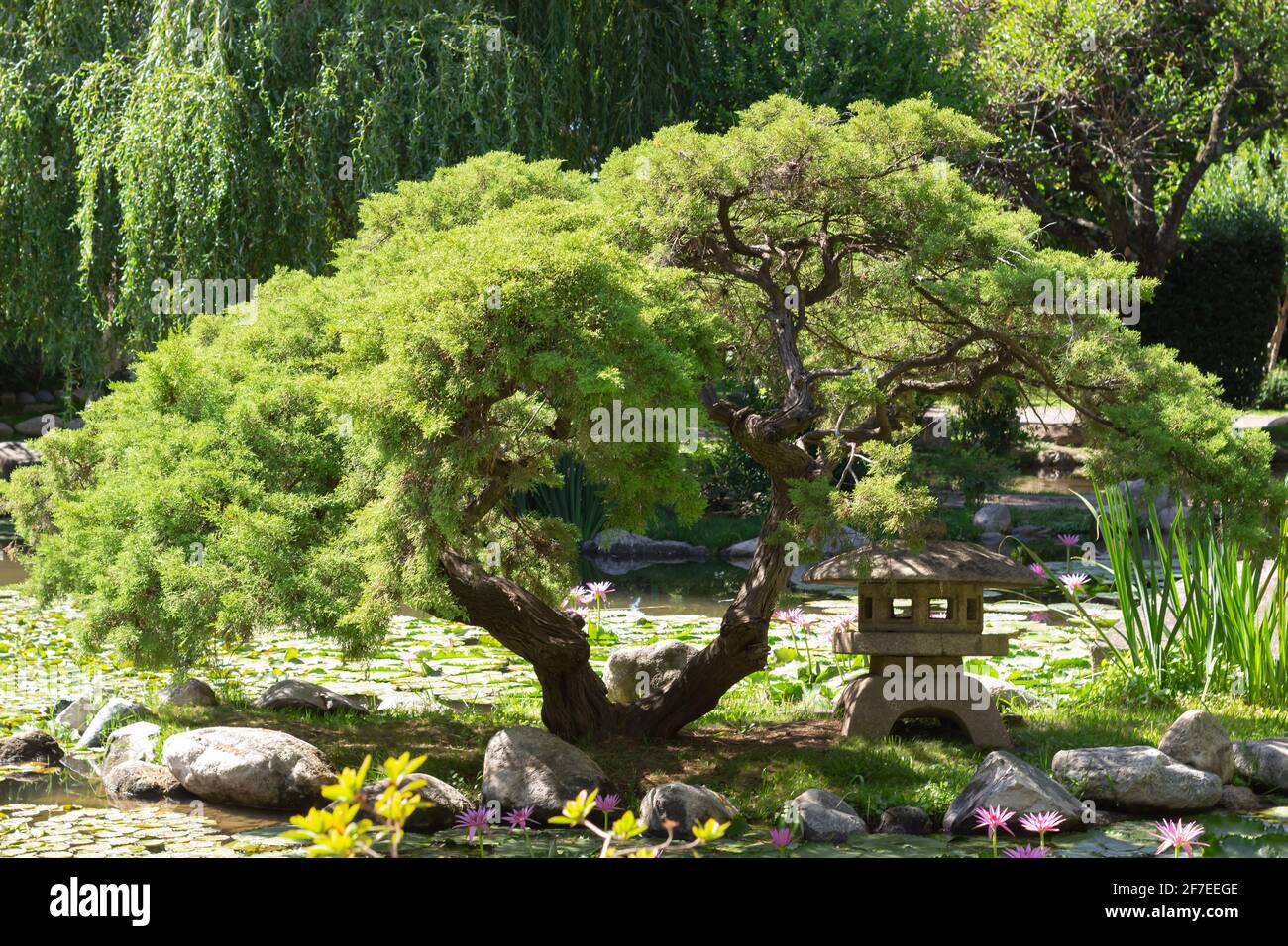 Public park tree hi-res stock photography and images - Alamy