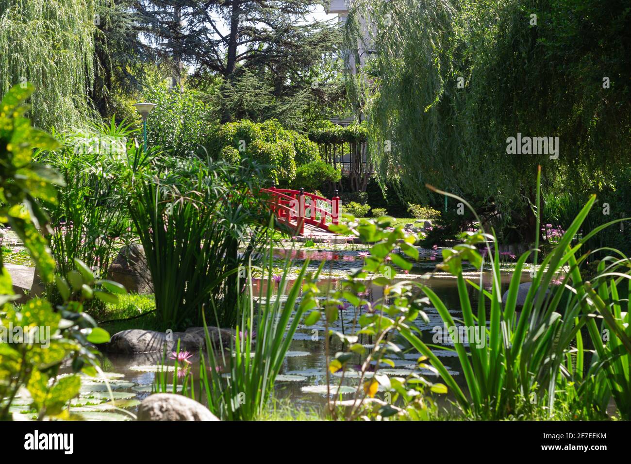 Little red bridge hi-res stock photography and images - Alamy