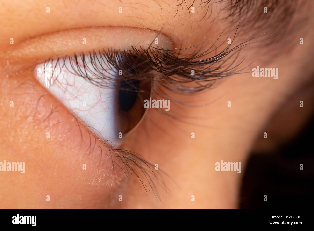 Human eye side view hi-res stock photography and images - Alamy
